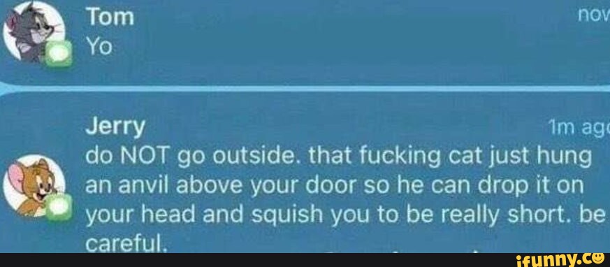 Tom nov Yo Jerry age do NOT go outside. that fucking cat just hung an ...