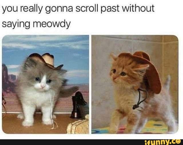 You really gonna scroll past without saying meowdy (,7: ::.-?" - iFunny