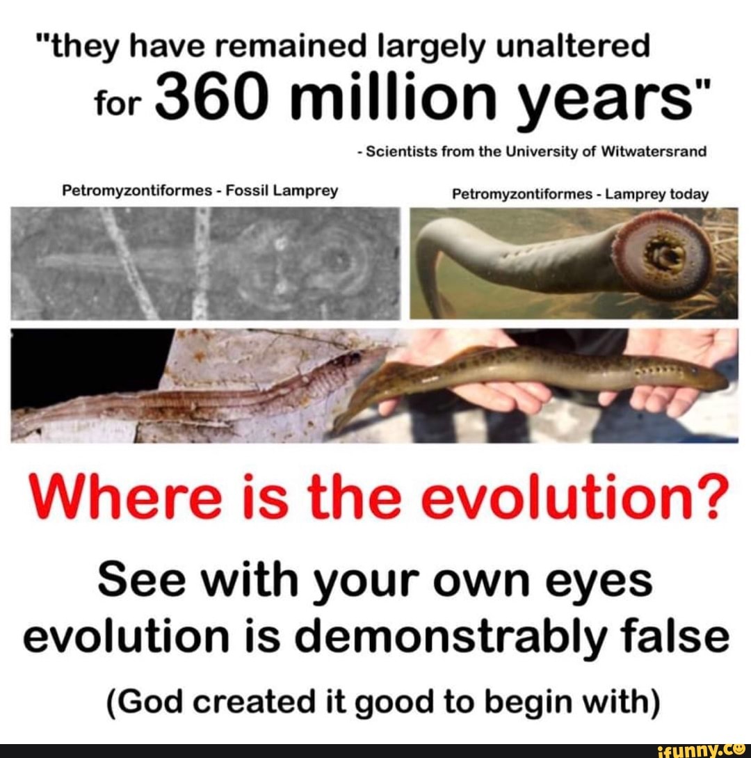 Lamprey memes. Best Collection of funny Lamprey pictures on iFunny