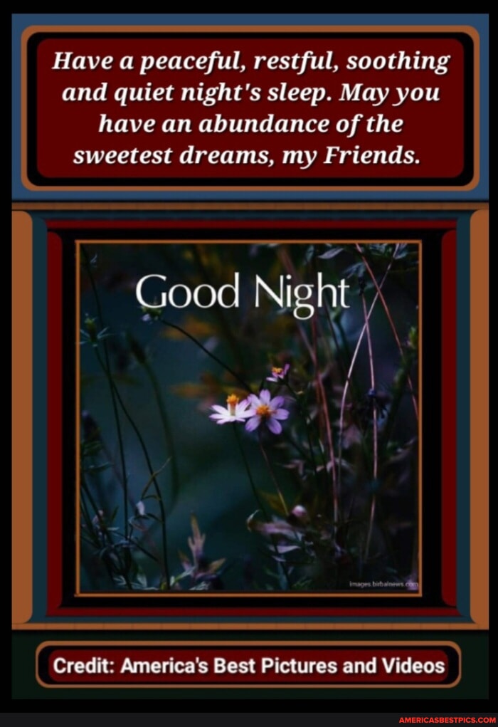 Have a peaceful, restful, soothing and quiet night's sleep. May you ...