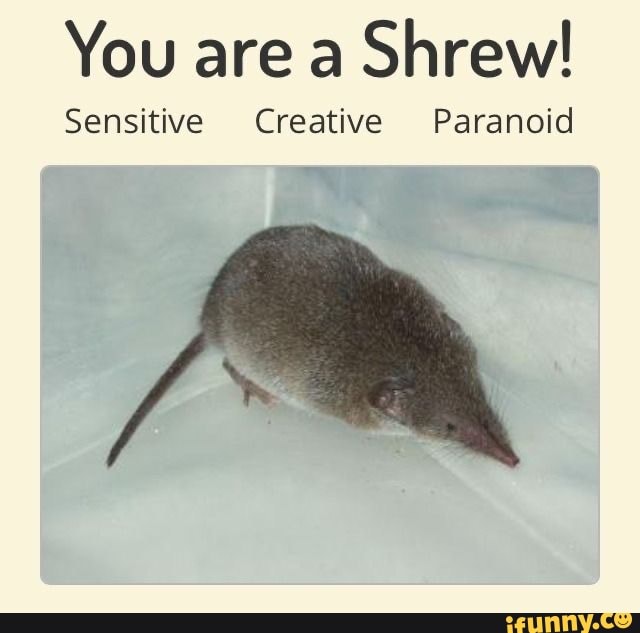 Shrew memes. Best Collection of funny Shrew pictures on iFunny