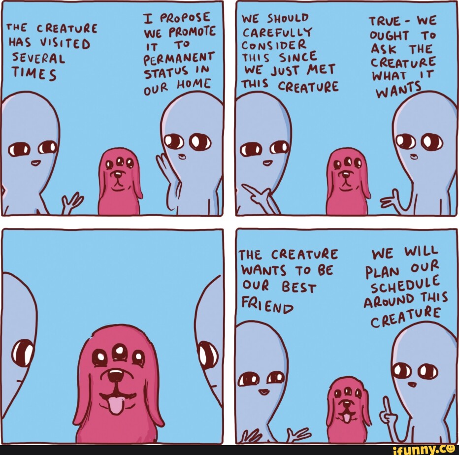 This lady tried to bully my snowman and paid the price. Wait for it ...