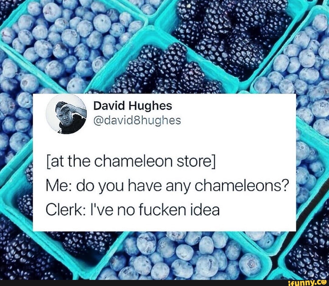 Chameleon memes. Best Collection of funny Chameleon pictures on iFunny
