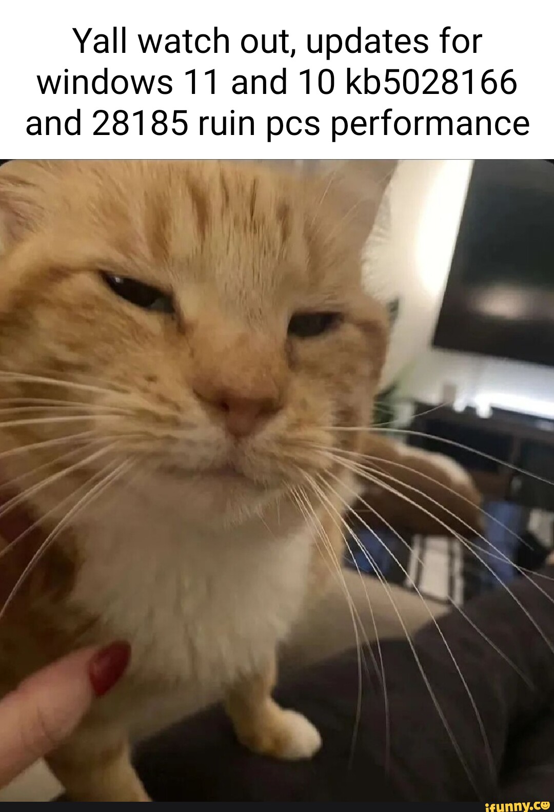 Windows10 memes. Best Collection of funny Windows10 pictures on iFunny