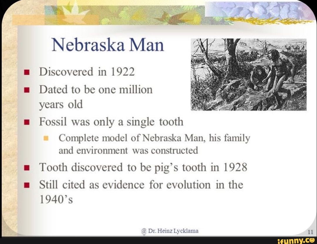 Nebraska Man Discovered in 1922 Dated to be one million years old ...