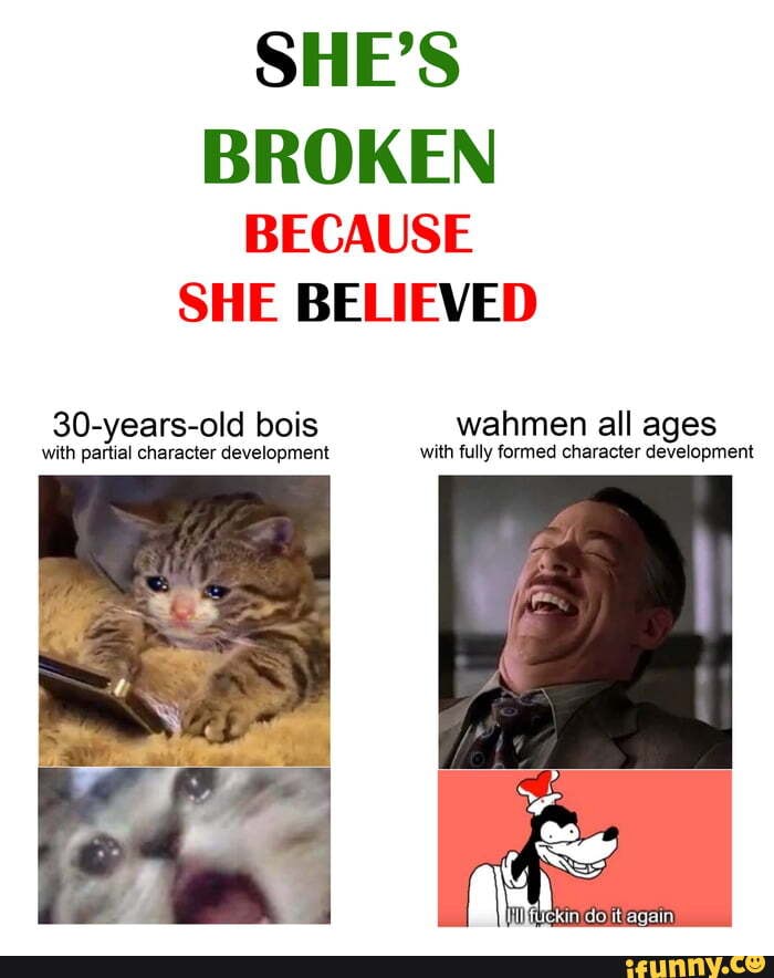 She_broken memes. Best Collection of funny She_broken pictures on iFunny