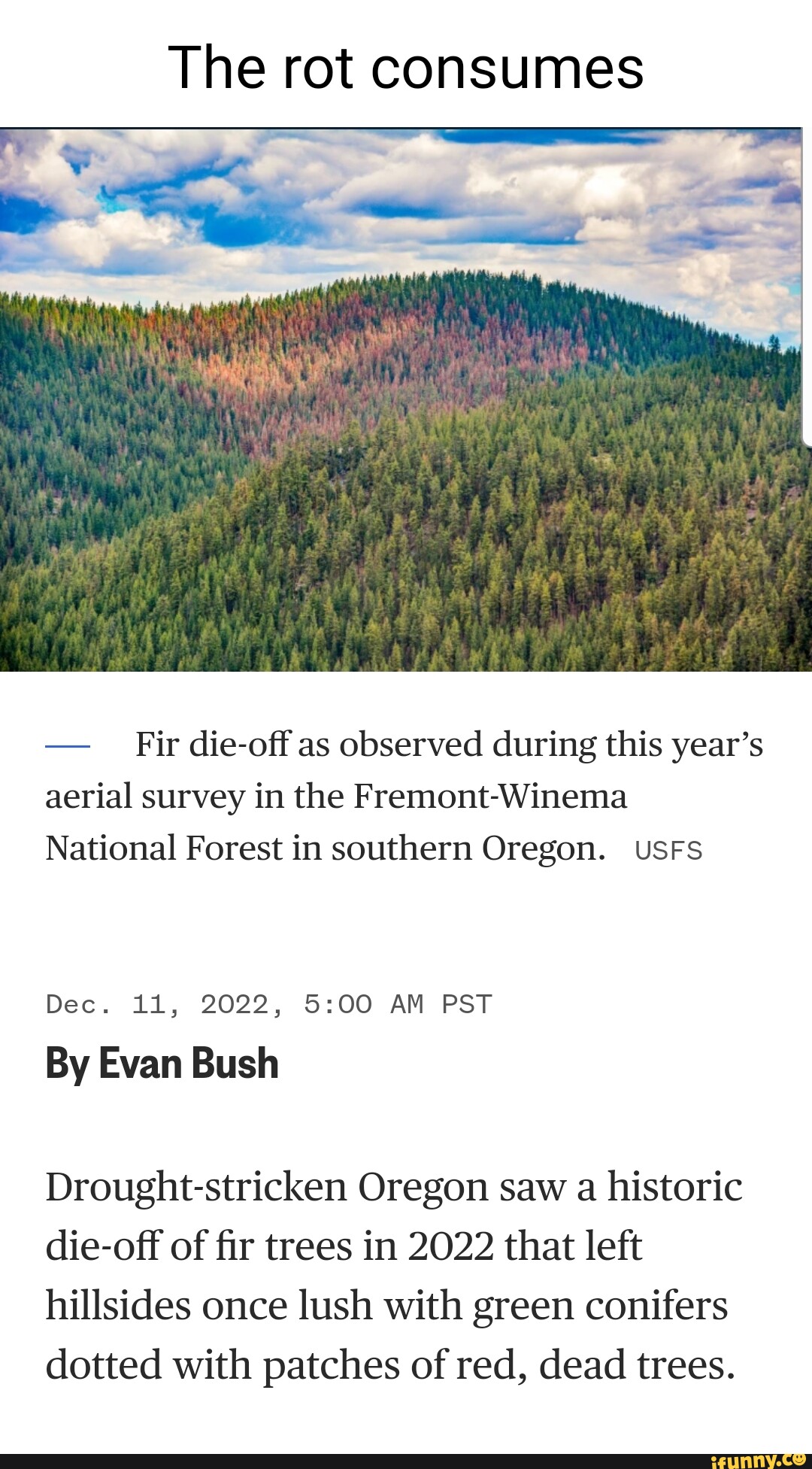 The rot consumes - Fir die-off as observed during this year's aerial ...