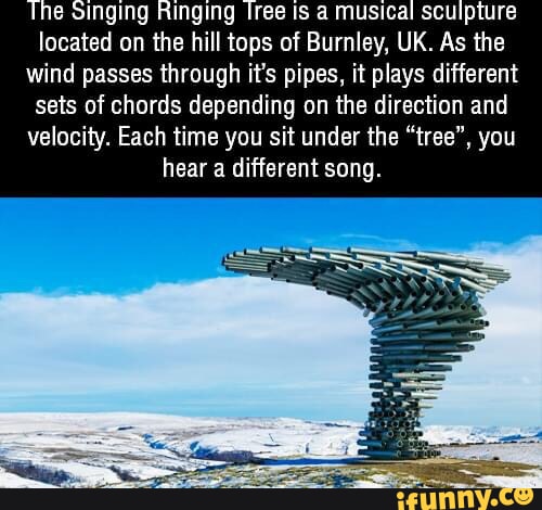 Wind memes. Best Collection of funny Wind pictures on iFunny
