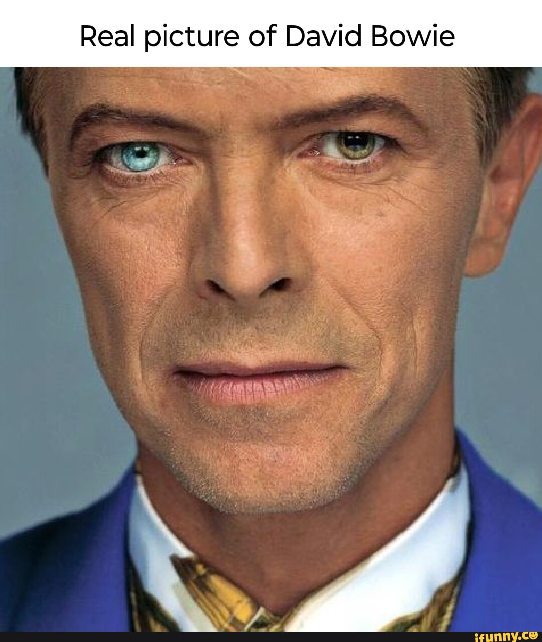 David Bowie memes memes. The best memes on iFunny