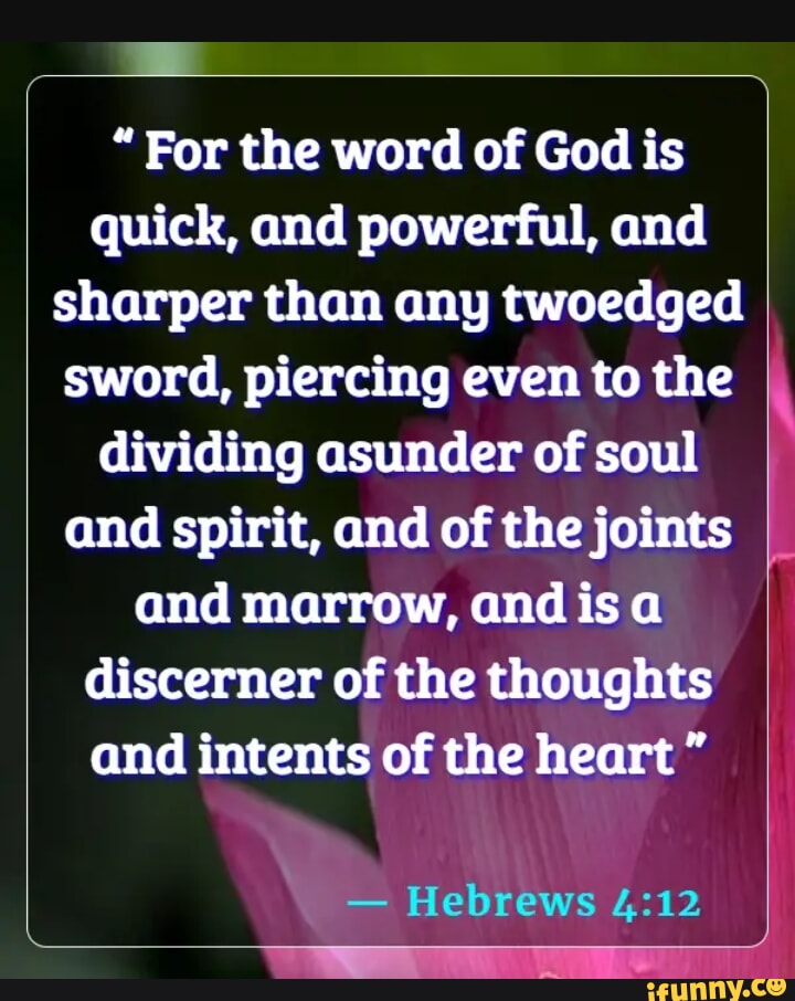 Marrow memes. Best Collection of funny Marrow pictures on iFunny