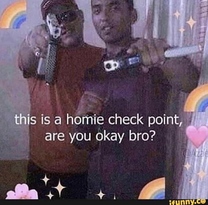 Homie check point are you okay bro? - iFunny