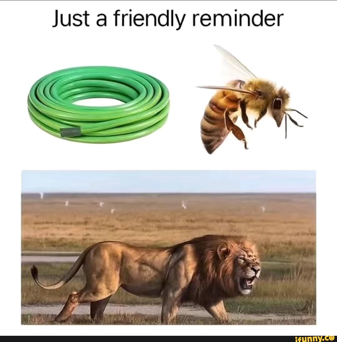 Just a friendly reminder - iFunny
