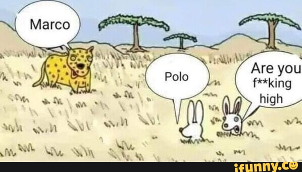 Are you f**king high - iFunny