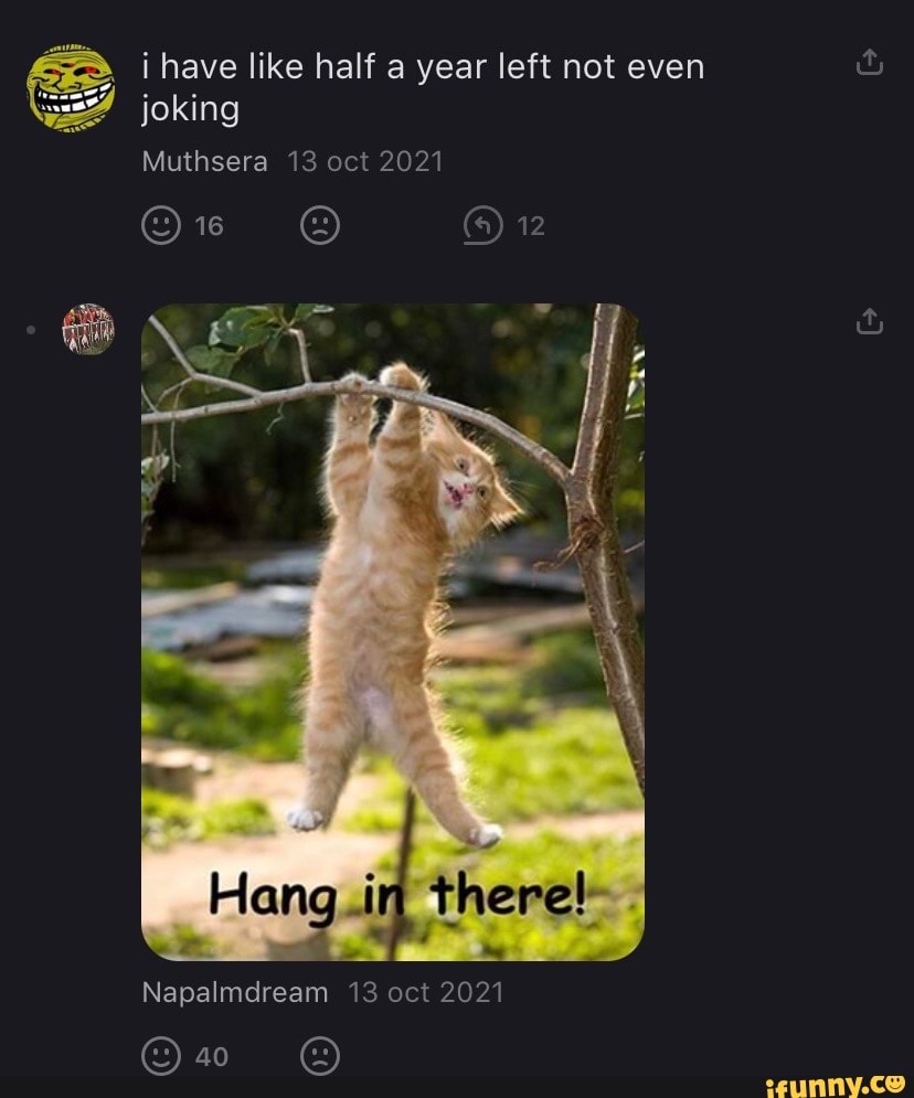Muthsera memes. Best Collection of funny Muthsera pictures on iFunny