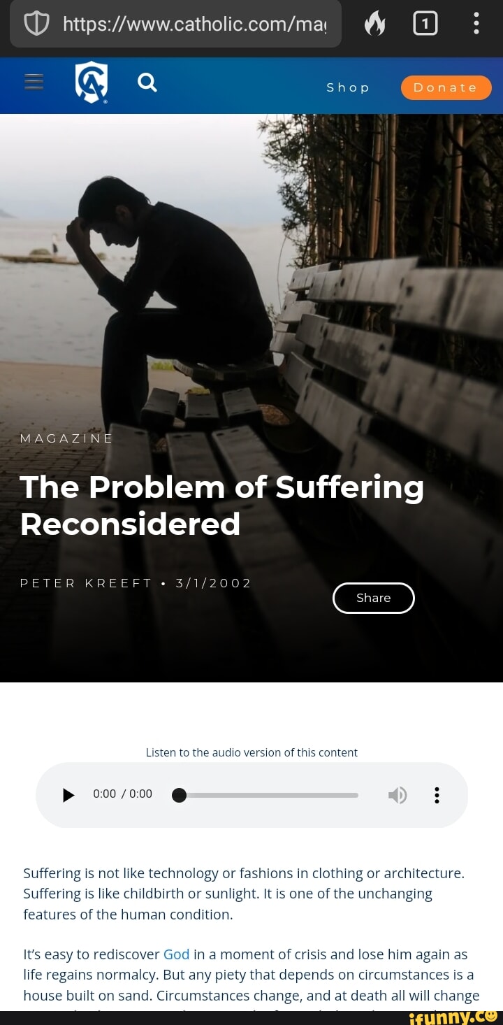 MAGAZINE G) The Problem of Suffering Reconsidered shave PETER KREEFT ...