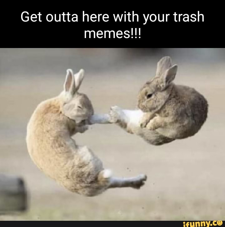 Funny Trash Memes