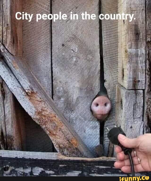 Cityslickers memes. Best Collection of funny Cityslickers pictures on ...