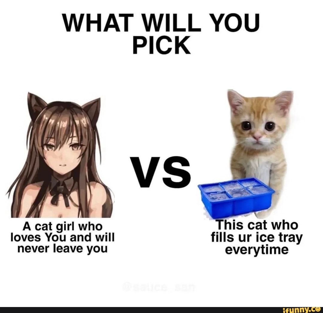 WHAT WILL YOU PICK A cat girl who This cat who loves You and will fills ...