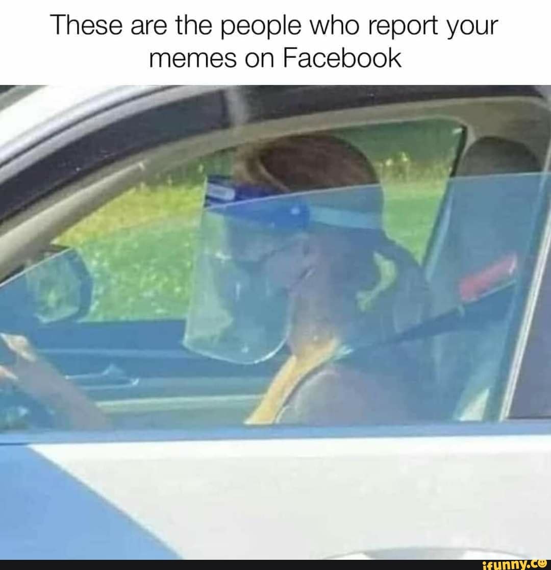 These are the people who report your memes on Facebook - iFunny