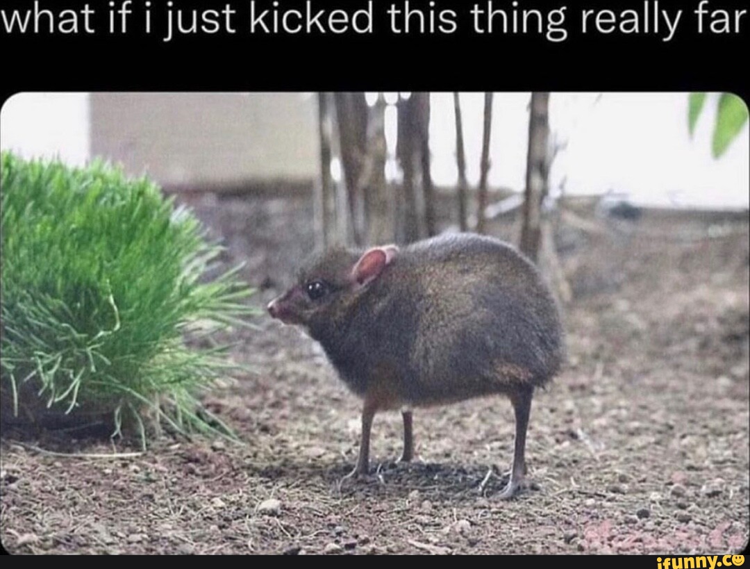 In the 1999 movie the Matrix, Neo's passport expires on September 11 ...