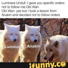 Luminara memes. Best Collection of funny Luminara pictures on iFunny