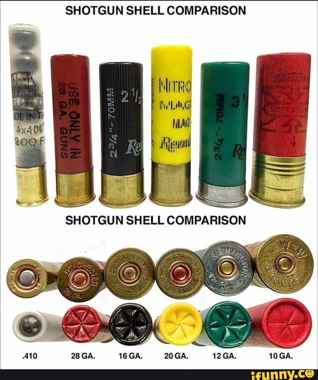 SHOTGUN SHELL COMPARISON Real SHOTGUN SHELL COMPARISON 16 GA. 20GA ...