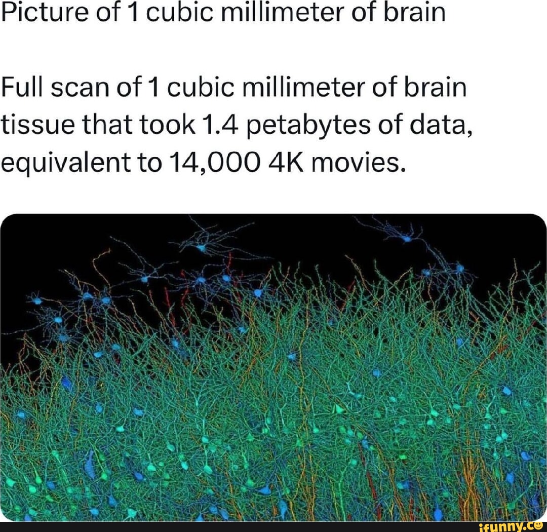 Millimeter memes. Best Collection of funny Millimeter pictures on iFunny