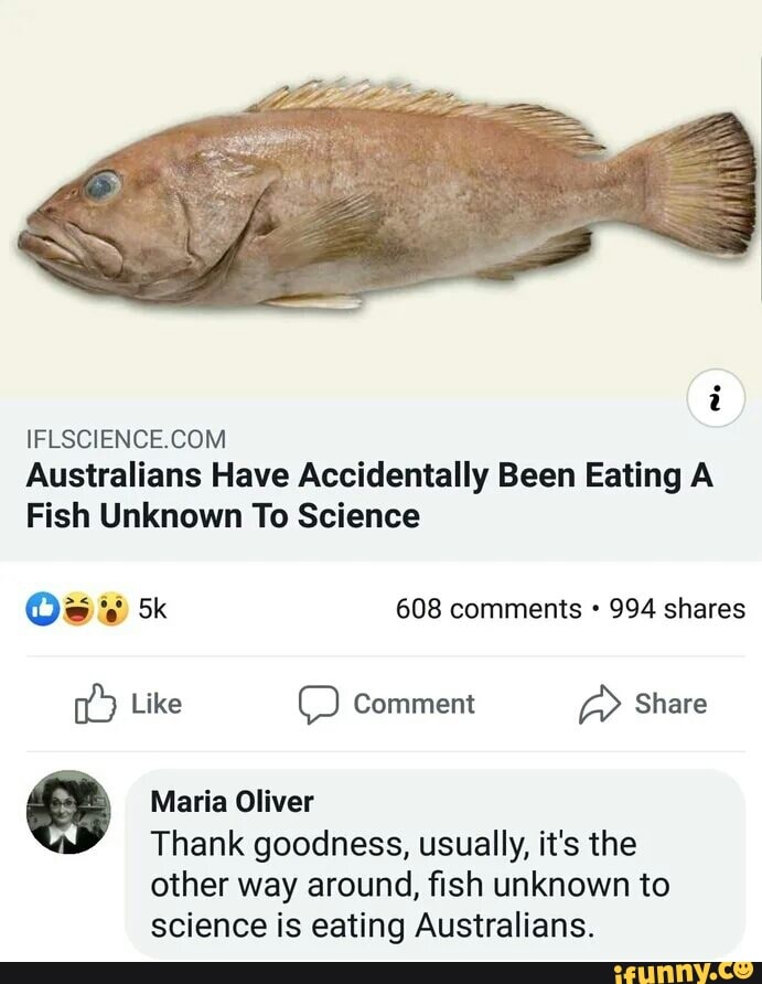 IFLSCIENCE.COM Australians Have Accidentally Been Eating A Fish Unknown ...