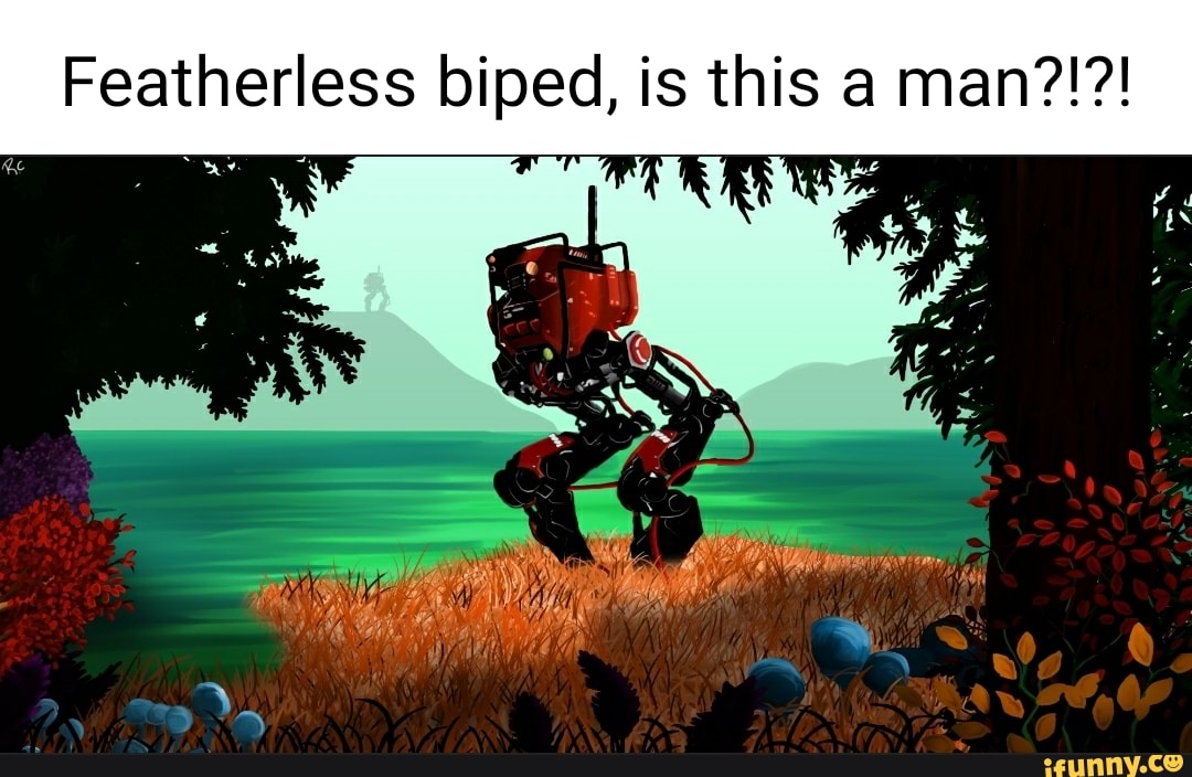 Featherless biped, is this a man?!?! - iFunny