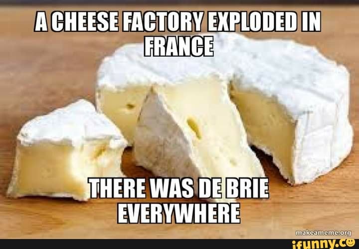 A CHEESE FACTORY EXPLODED IN _ FRANCE THERE WAS DE BRIE EVERYWHERE - iFunny