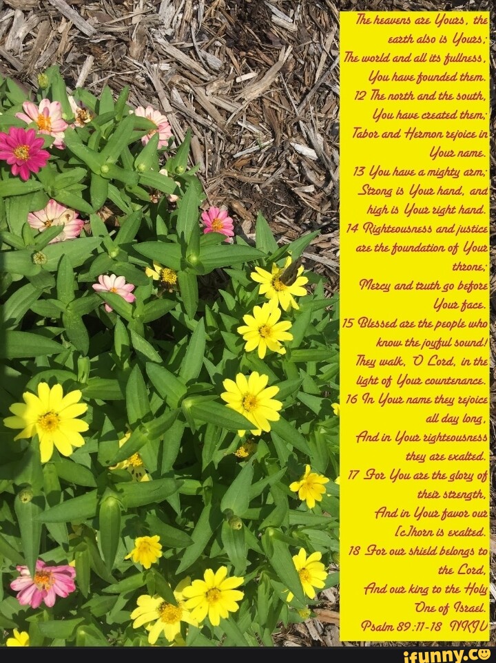 Tabor memes. Best Collection of funny Tabor pictures on iFunny