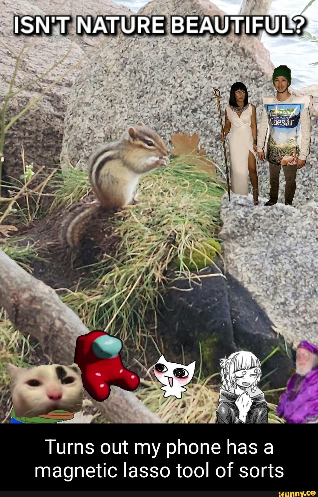 Lasso memes. Best Collection of funny Lasso pictures on iFunny