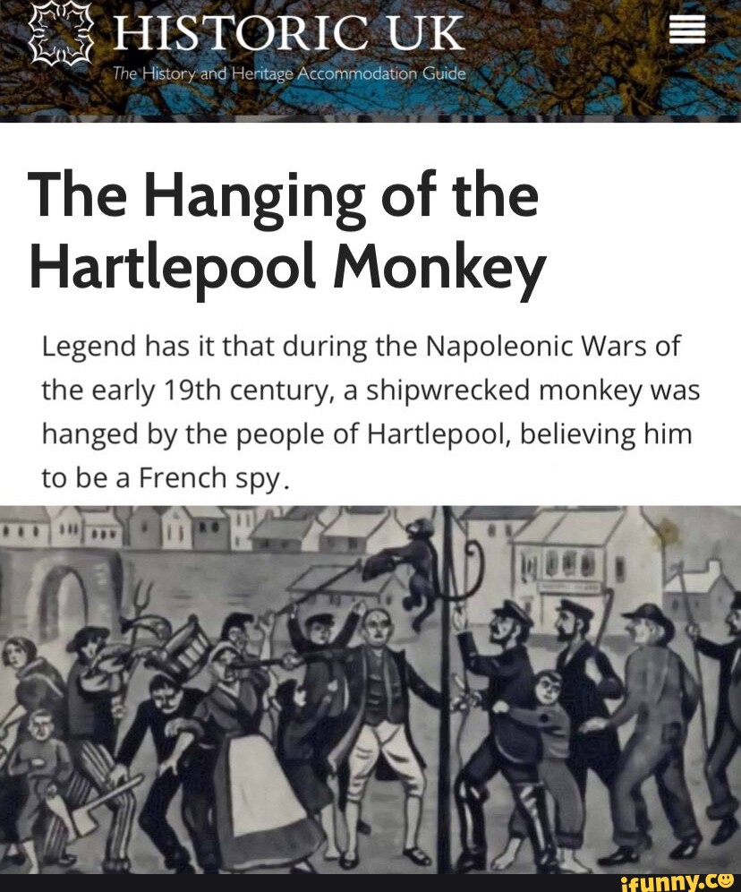 Accommodation memes. Best Collection of funny Accommodation pictures on ...