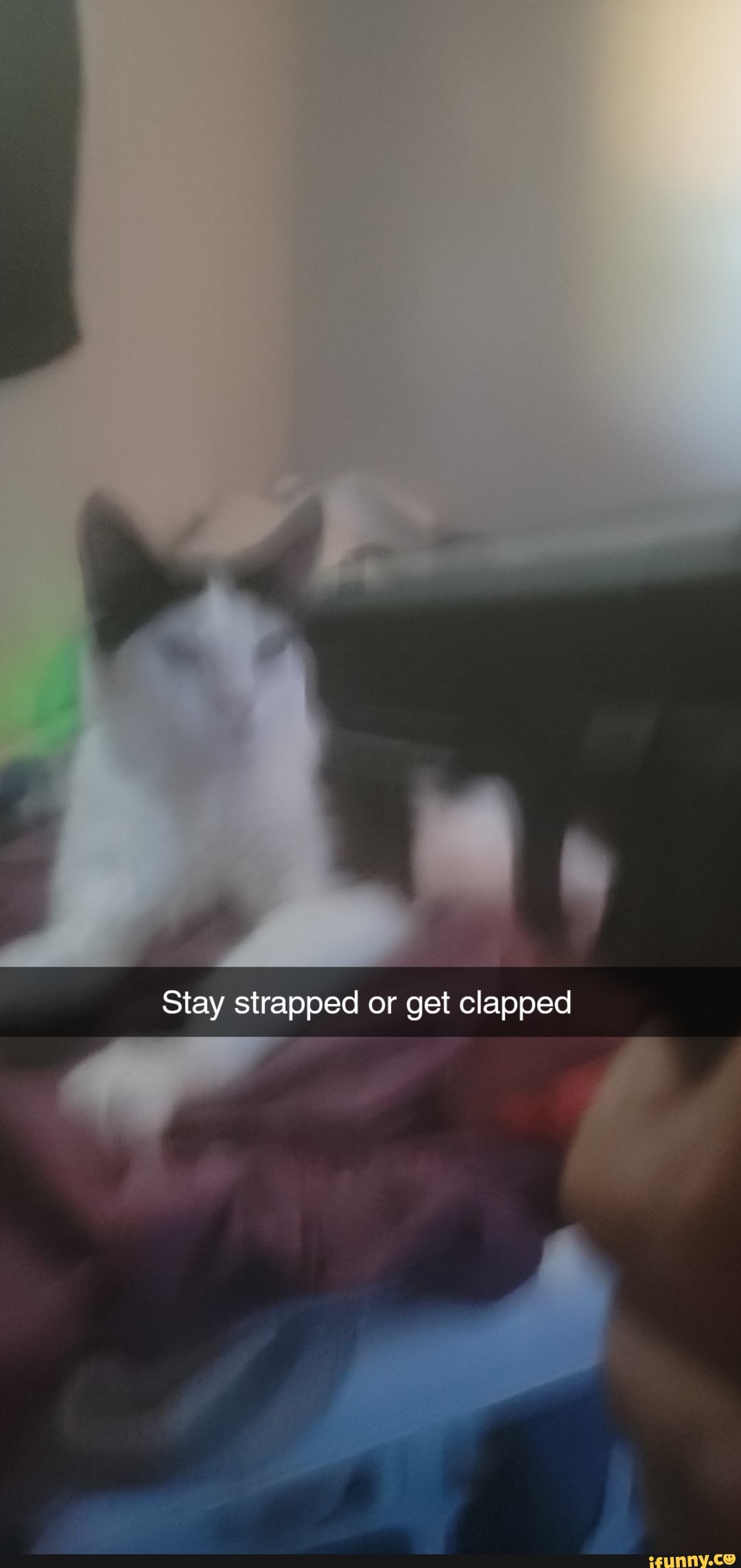 Clapped memes. Best Collection of funny Clapped pictures on iFunny