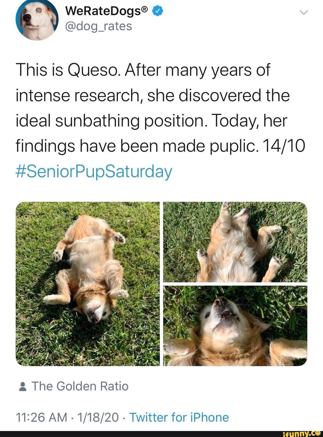 Sunbather Memes