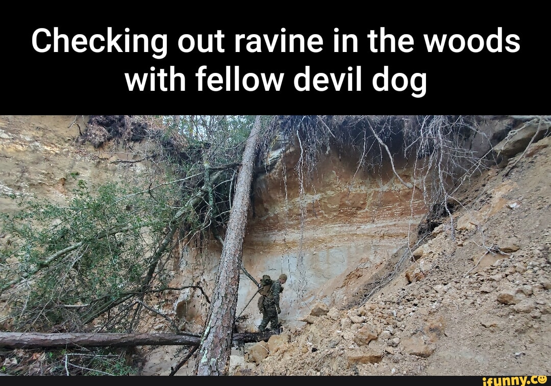 Ravine memes. Best Collection of funny Ravine pictures on iFunny