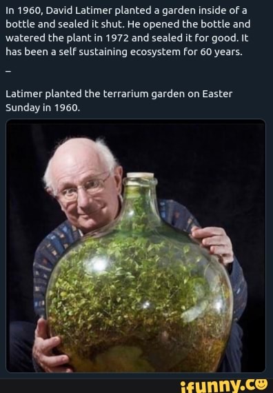 In 1960, David Latimer planted a garden inside of a bottle and sealed ...