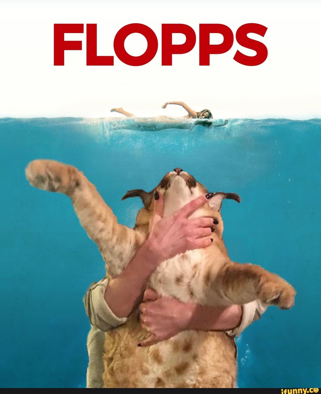 Flopps memes. Best Collection of funny Flopps pictures on iFunny