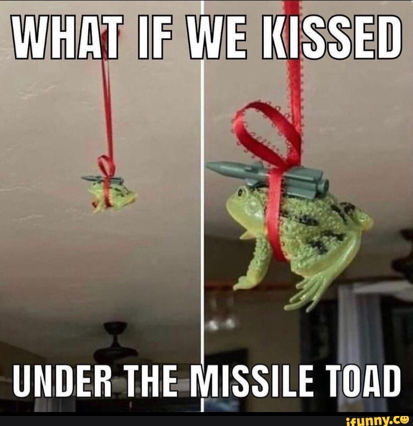 WHAT IF WE KISSED UNDER THE MISSILE TOAD - iFunny