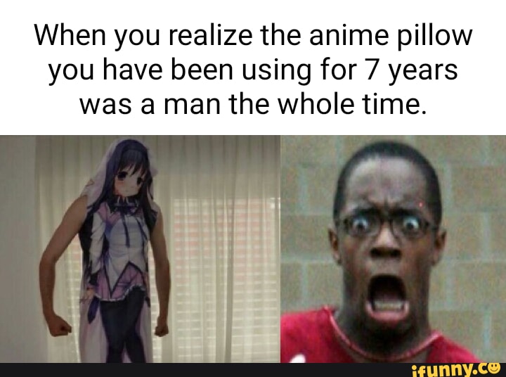 Bodypillow memes. Best Collection of funny Bodypillow pictures on iFunny
