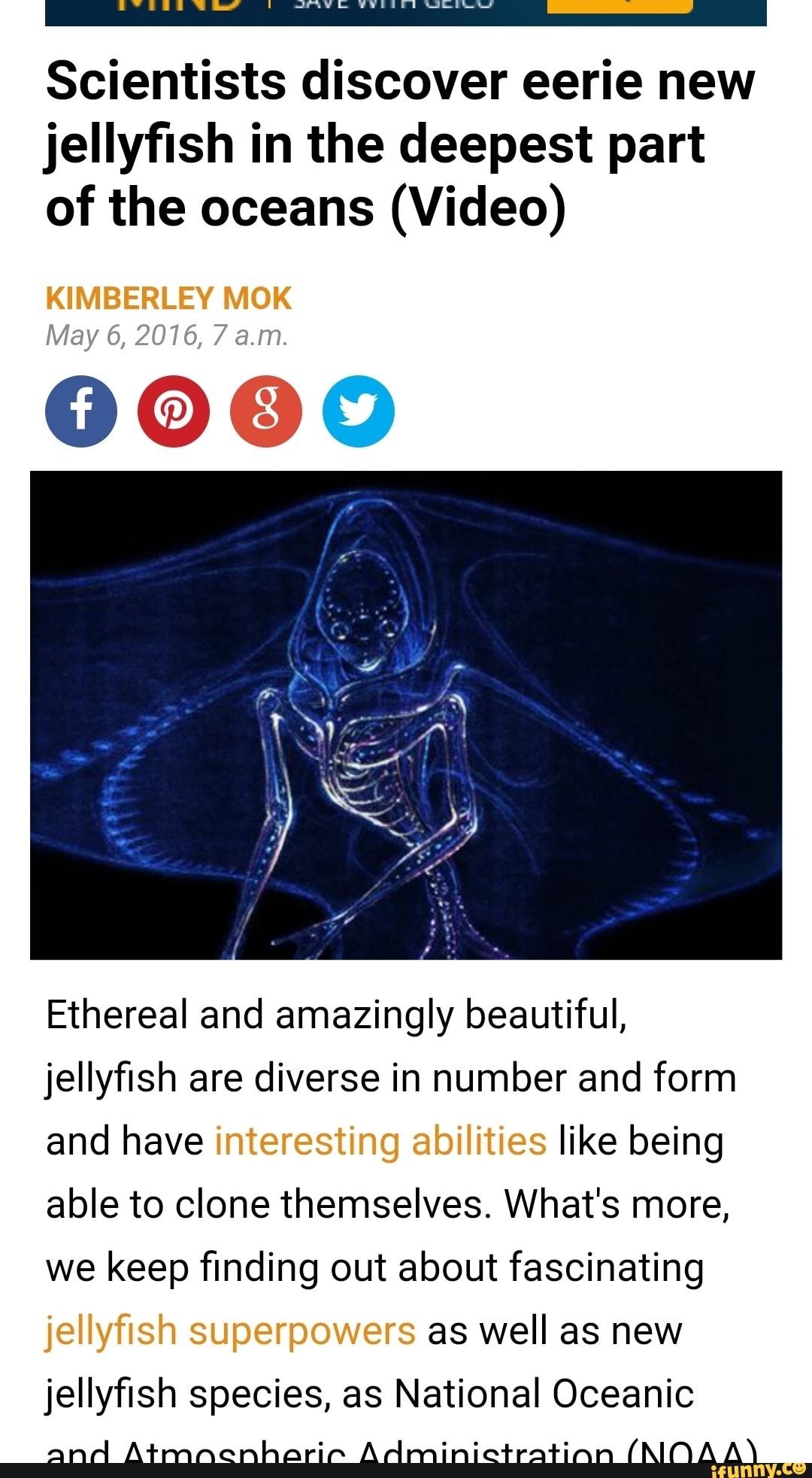 Scientists discover eerie new jellyfish in the deepest part of the ...