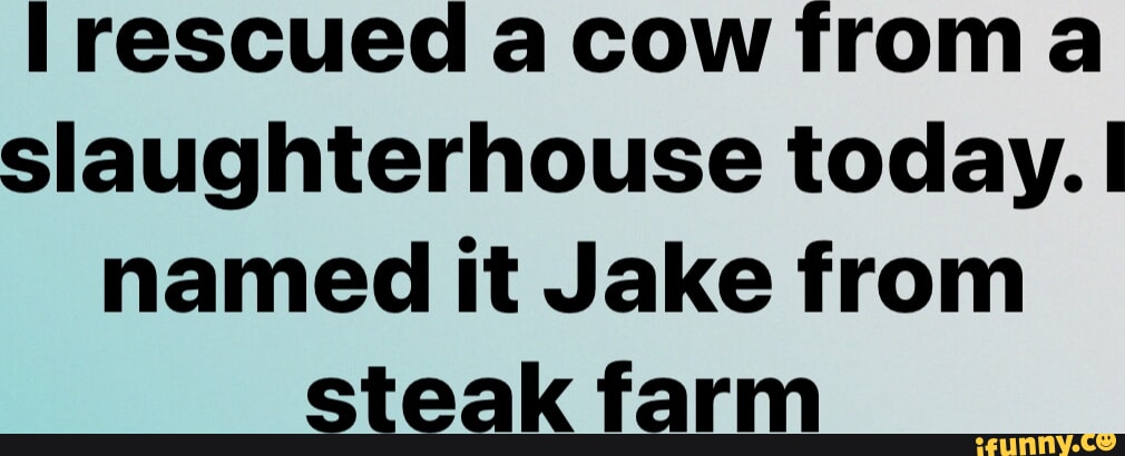 Slaughterhouse memes. Best Collection of funny Slaughterhouse pictures ...