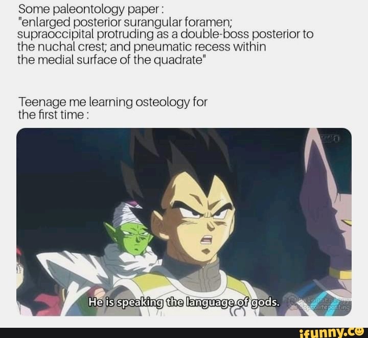 Some paleontology paper: "enlarged posterior surangular foramen ...