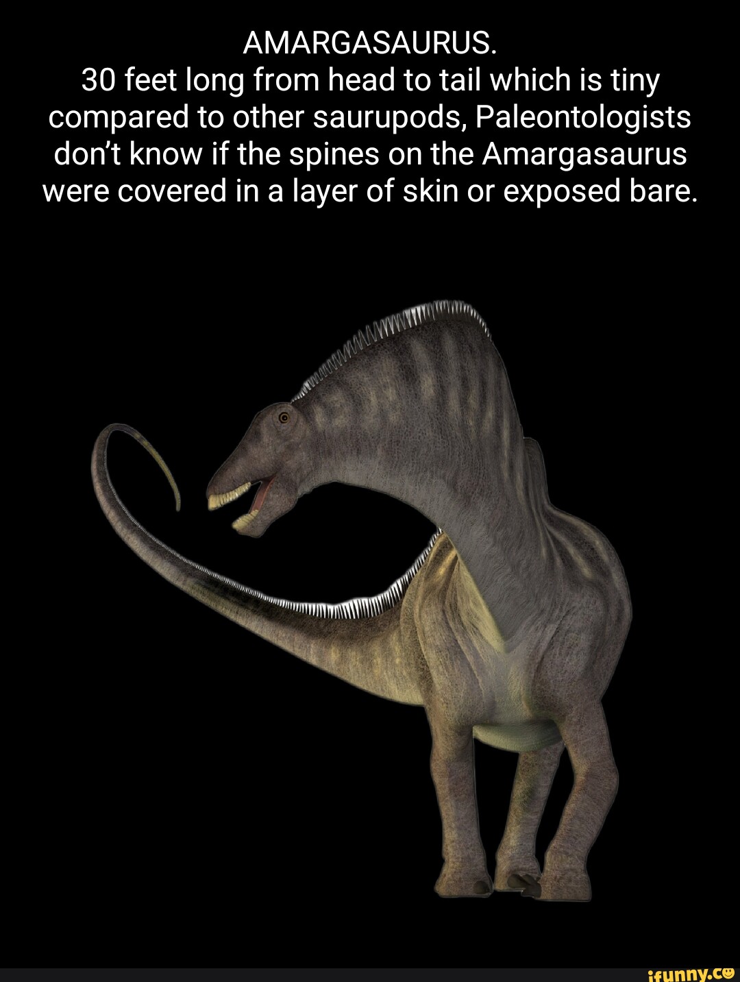 Amargasaurus Size