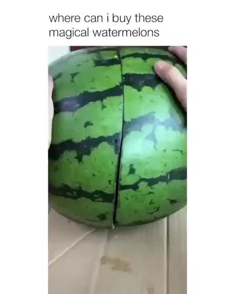 Magical watermelons - iFunny :)