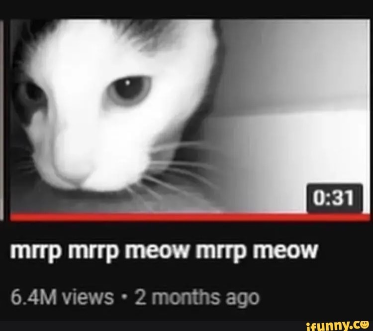 Mirp memes. Best Collection of funny Mirp pictures on iFunny