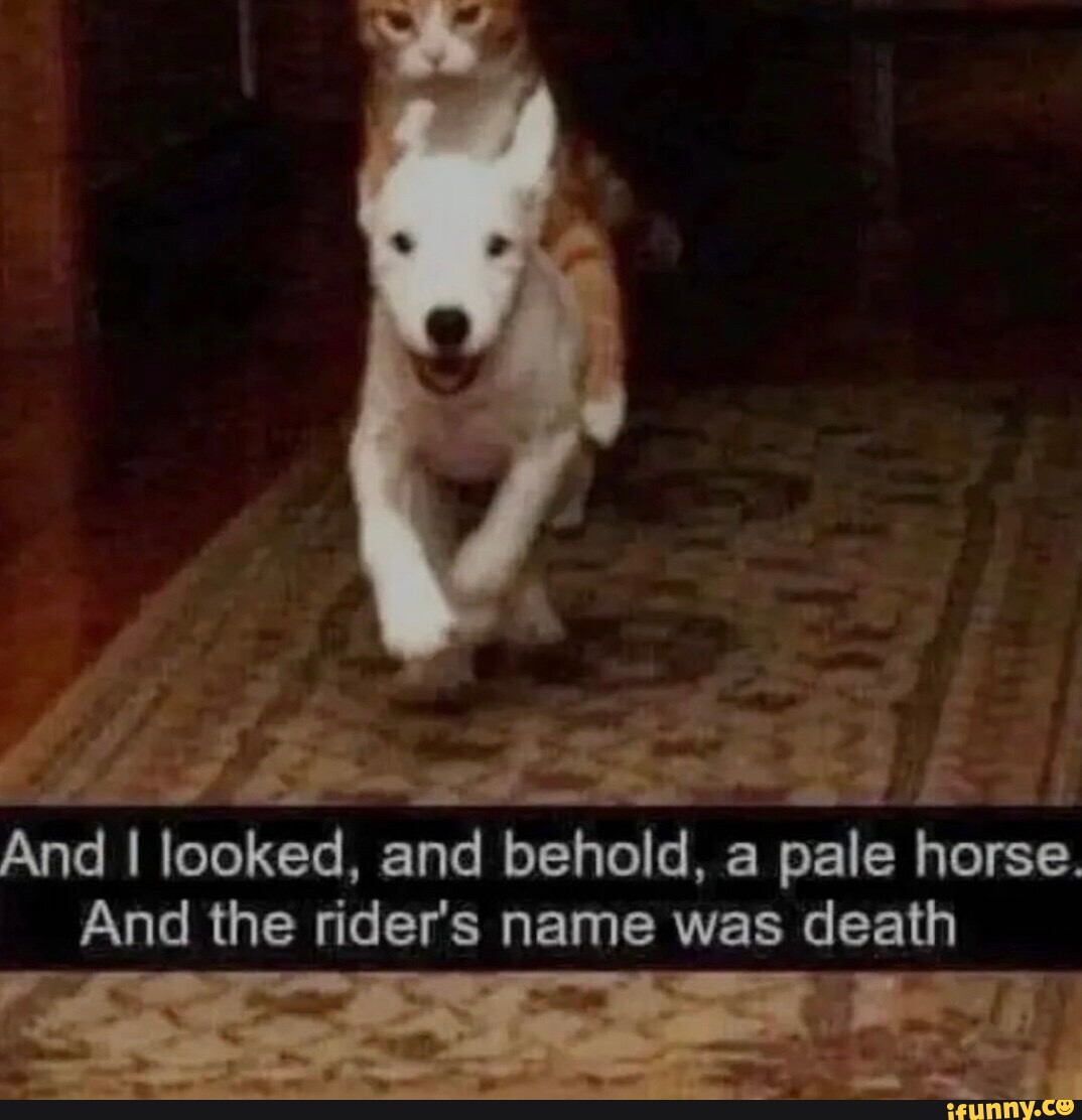 And I looked, and behold, a pale horse. And the rider's name was death ...