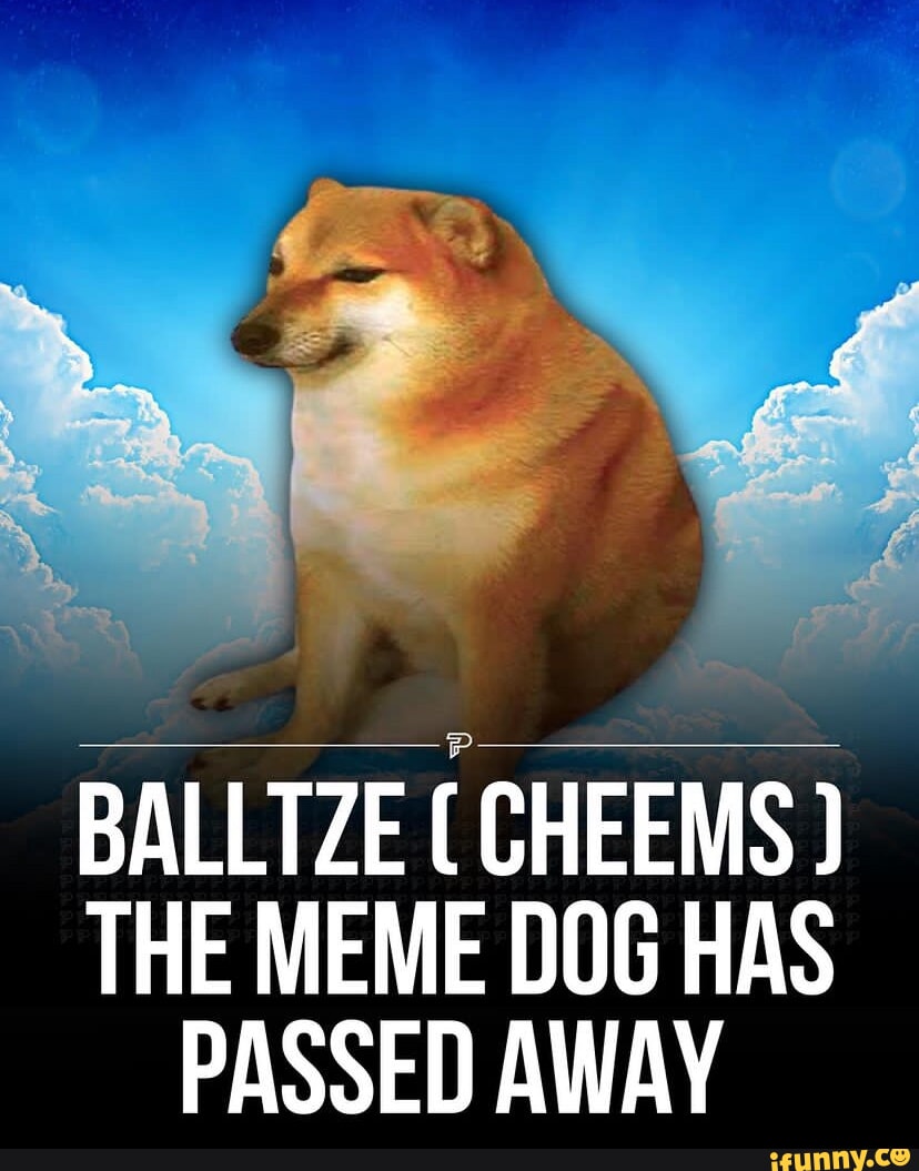 BALLTZE CHEEMS) THE MEME DOG HAS PASSED AWAY - iFunny