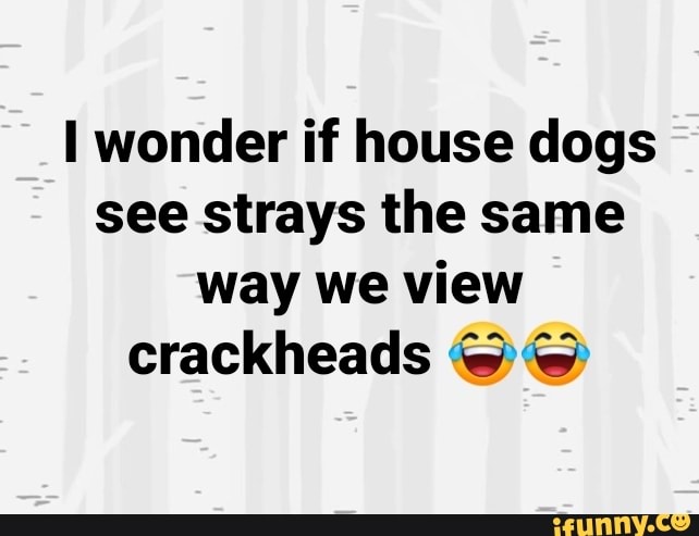 Crackheads memes. Best Collection of funny Crackheads pictures on iFunny