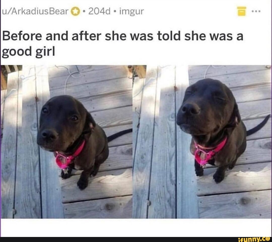 204d imgur Before and after she was told she was a good girl - iFunny